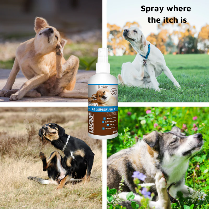 Pet Probiotic Allergen-Free - 300ml Spray - Lead On Dog Shop